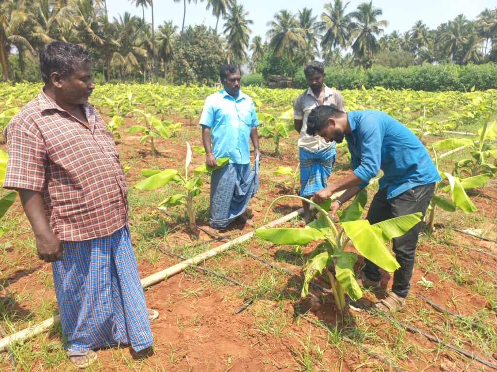 Events – CENDECT KVK